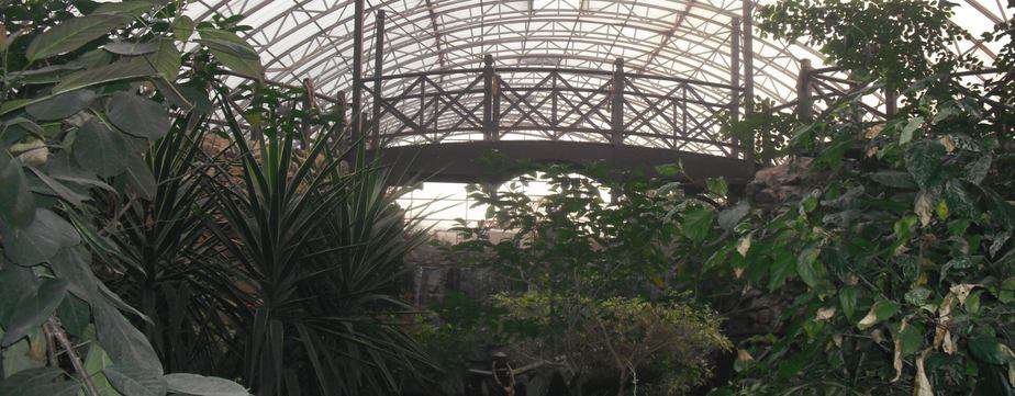 Botanical Garden | Visit Lahore